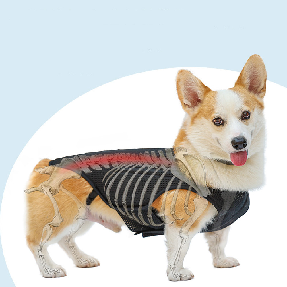 Intervertebral Disc Protection Support Vest - CJdropshipping