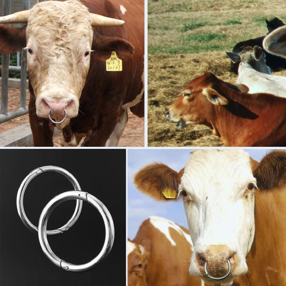 Large Size Ox Nose Ring Carbon Steel Traction Tool - CJdropshipping