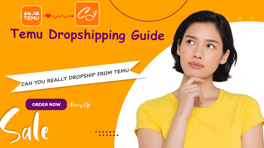 Temu Dropshipping Guide 2025