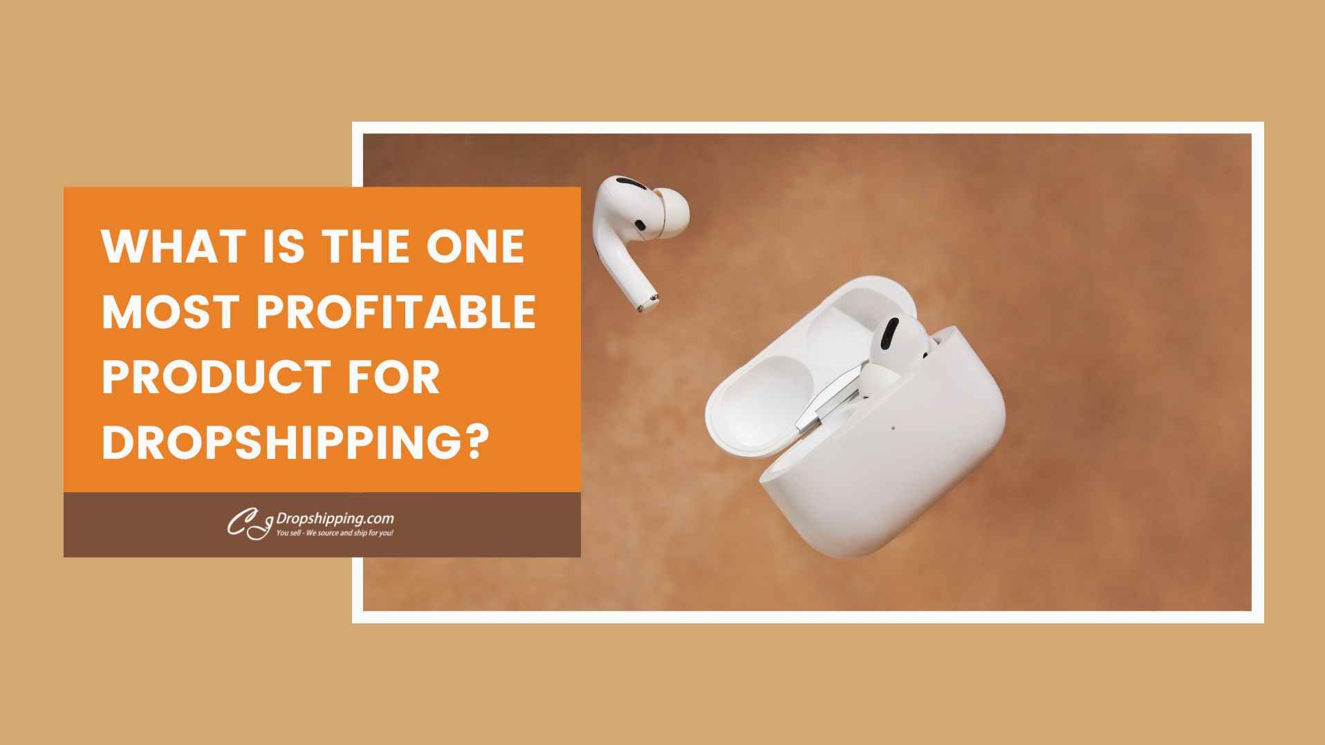 What is the One Most Profitable Product for Dropshipping?