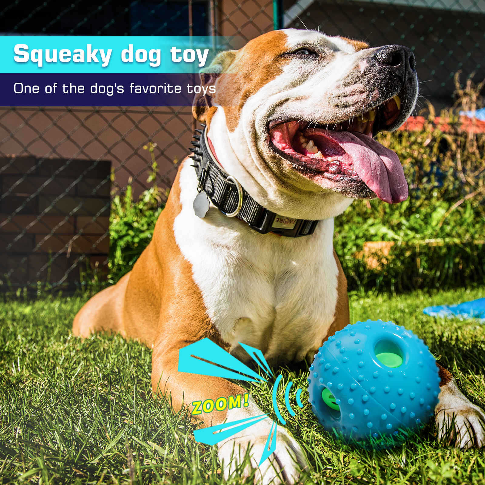 Pet Squall Ball Dog Playmate Sound Relieving Toys - CJdropshipping